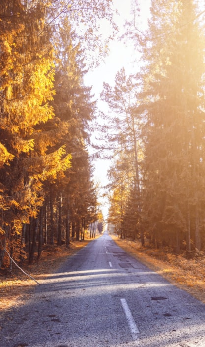 Staff Directory – Cumberland Community School