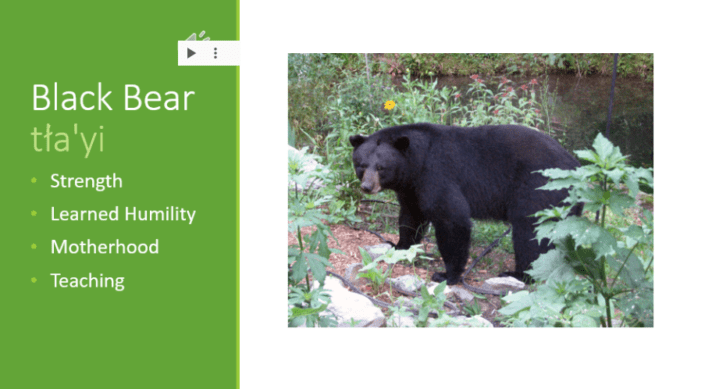 Story – Indigenous Education