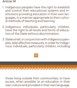 UN Declaration on the Rights of Indigenous Peoples – Indigenous Education