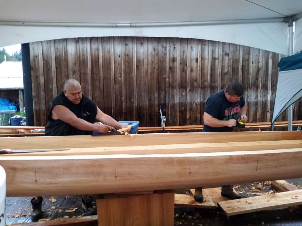 Cedar: Tree of Life – Indigenous Education