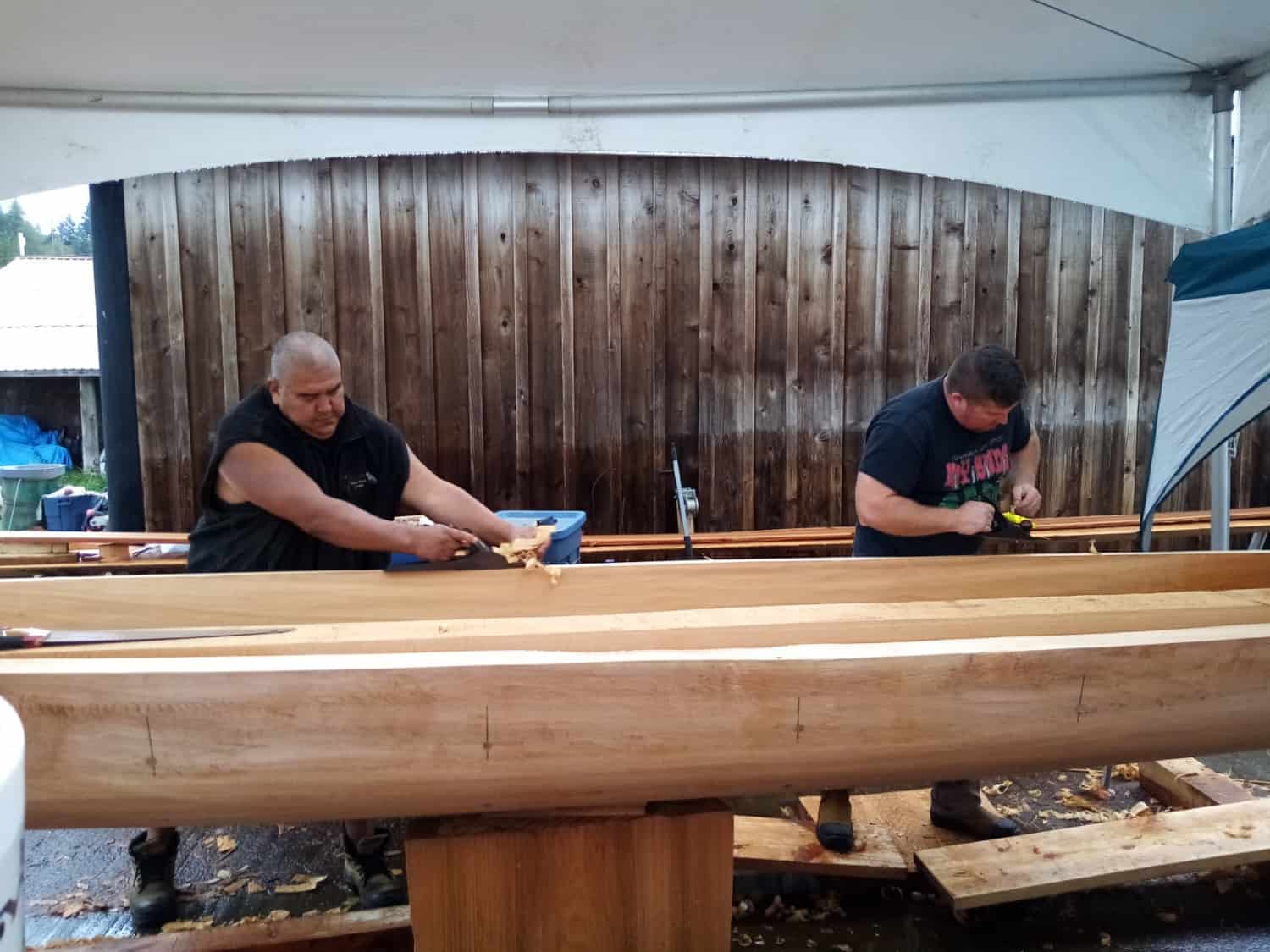 Cedar: Tree of Life – Indigenous Education