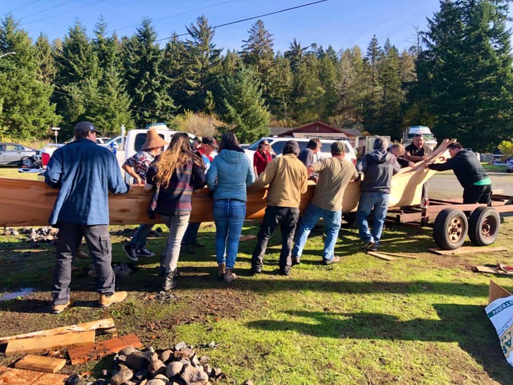 Cedar: Tree of Life – Indigenous Education