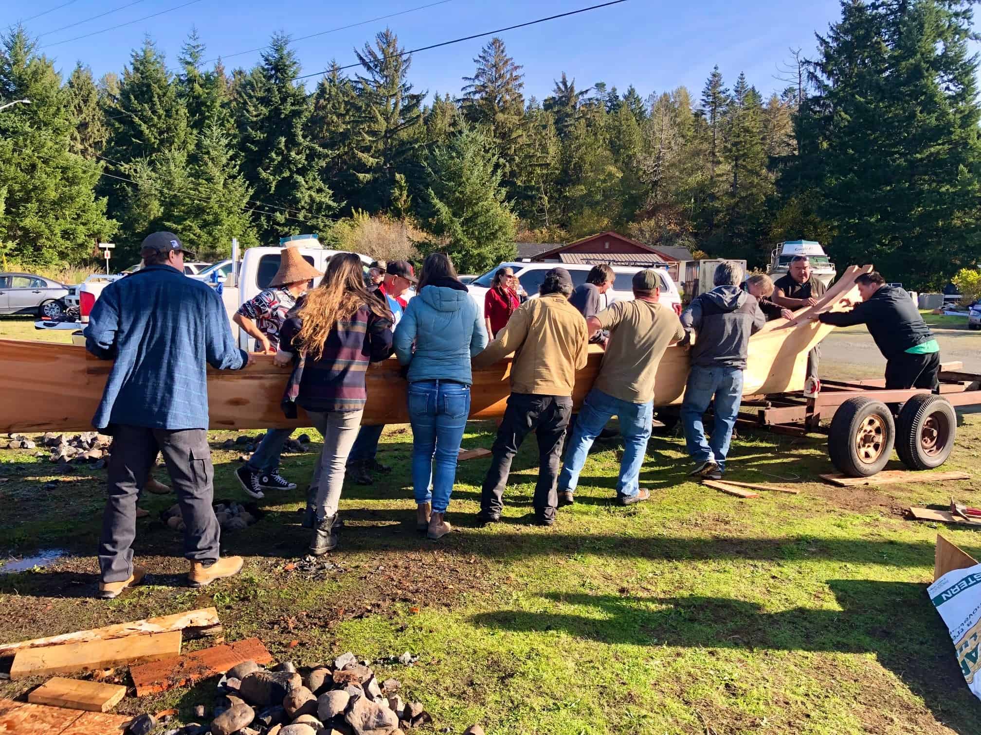 Cedar: Tree of Life – Indigenous Education