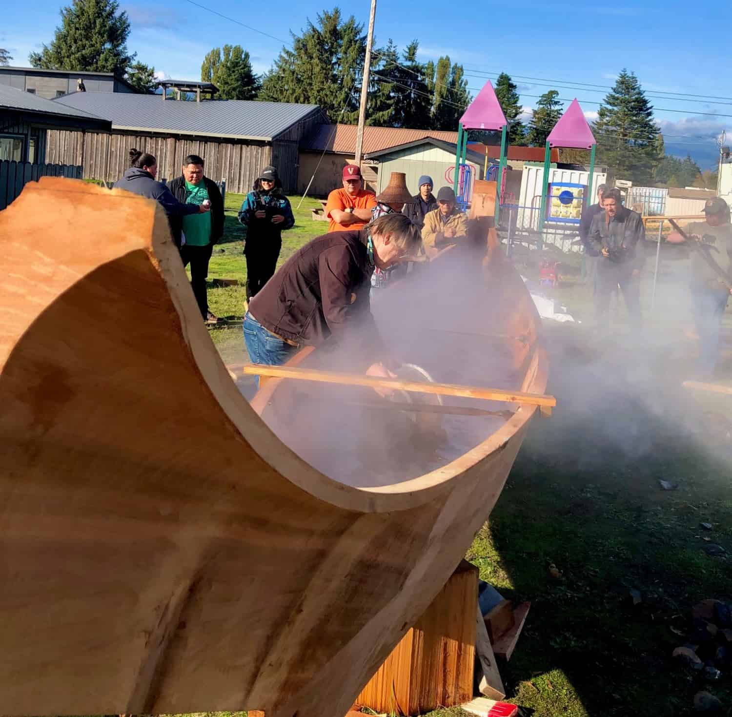 Cedar: Tree of Life – Indigenous Education